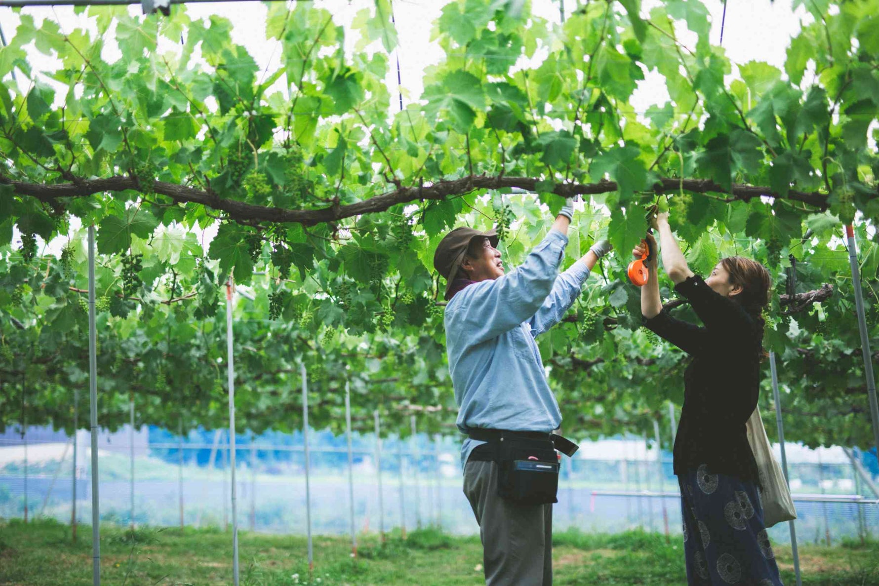 BIEN‐ÊTRE・FLOTO – minime-inc